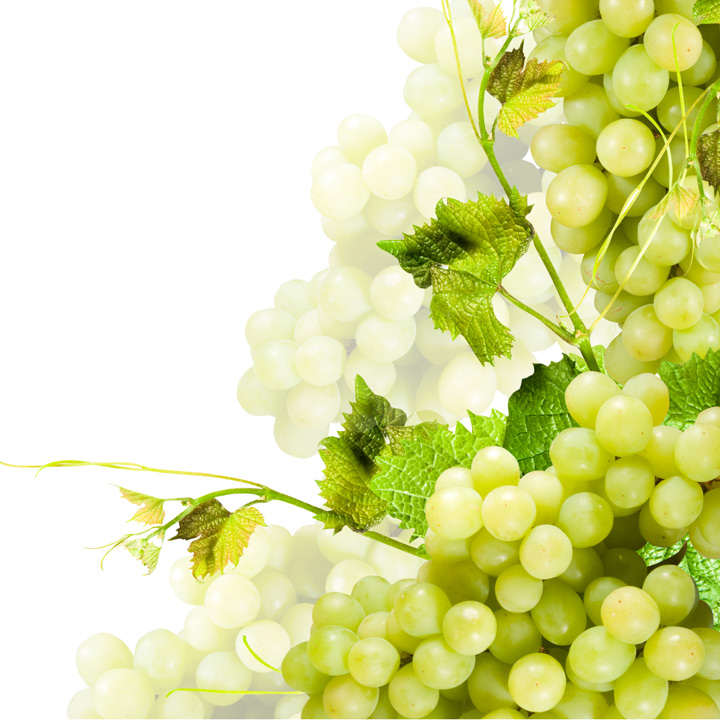 Château La Ferme Rouge | Thrills and passion at the heart of Morocco